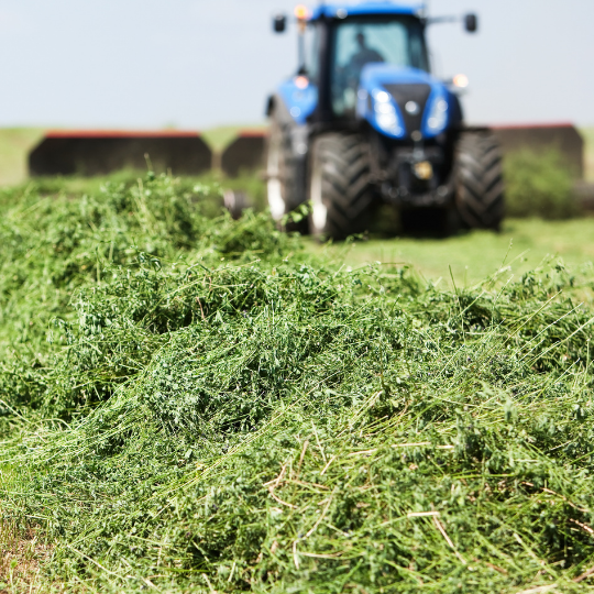 9 Tips for Creating High-Quality Haylage